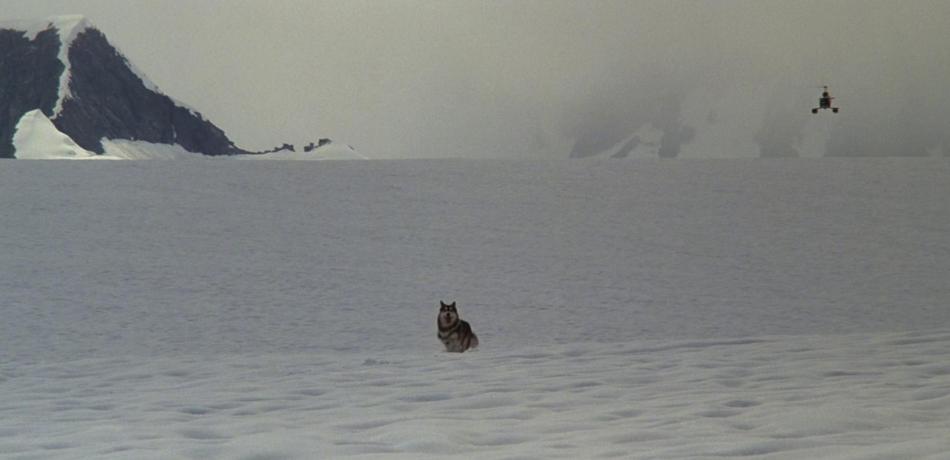 Paranoia and Duty in The Thing – Cineccentric