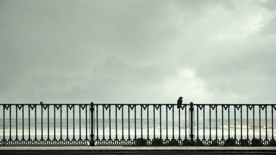 The Films of Abbas Kiarostami – Cineccentric