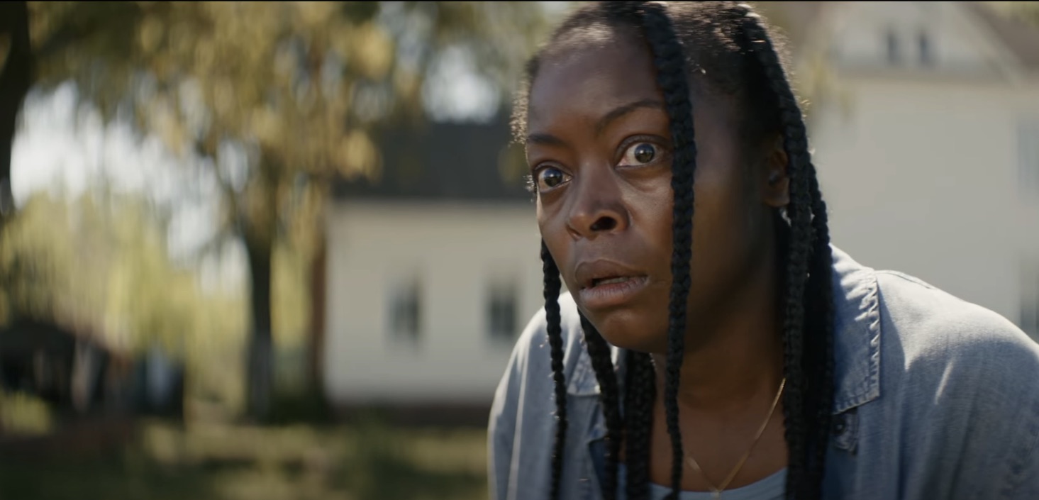 The Woman in the Yard ★★ – Cineccentric